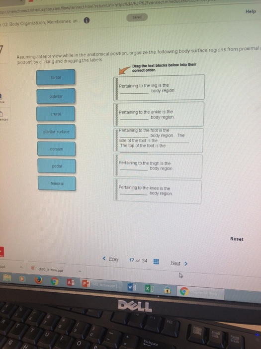 Solved: Hed Cat Oncommow Connect Html7return R.shttps%3A%2... | Chegg.com