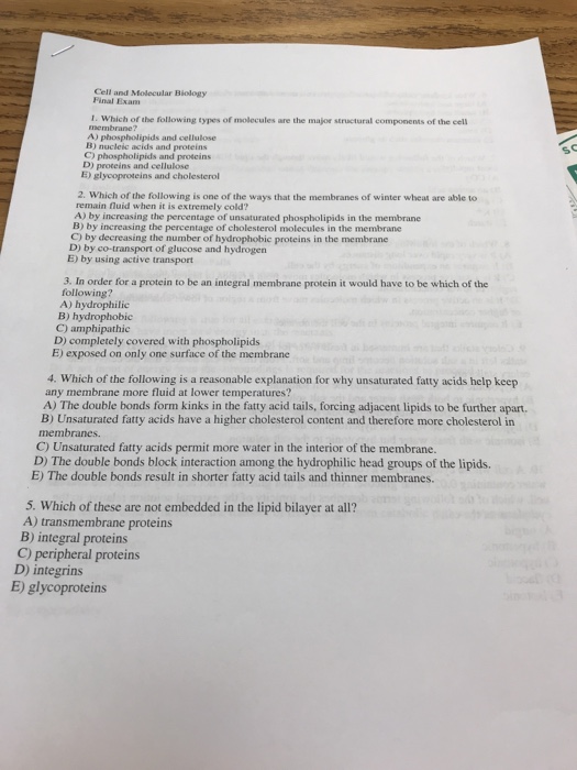 Solved: Cell And Molecular Biology Final Exam T. Which Of ... | Chegg.com