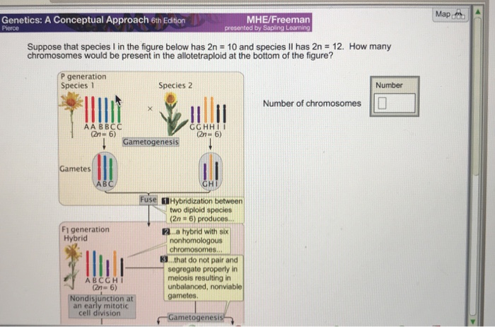 Solved Genetics A Conceptual Approach 6th Edition Pierce