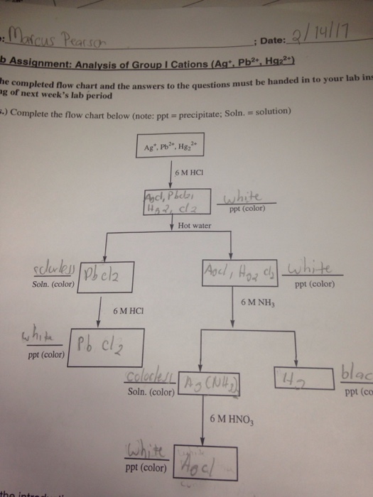 I Need Help Determining The Net Ionic Equations Fo... | Chegg.com