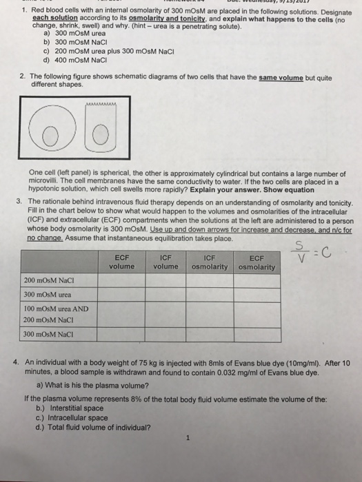 Solved: Red Blood Cells With An Internal Osmolarity Of 300... | Chegg.com