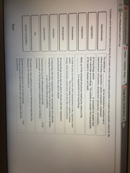 Solved: Complete Each Statement Below By Placing The Prope... | Chegg.com