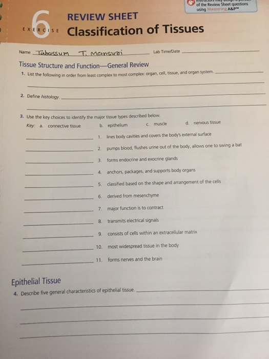 Solved: Of The Review Sheet Questions Using Mastering A&P ... | Chegg.com