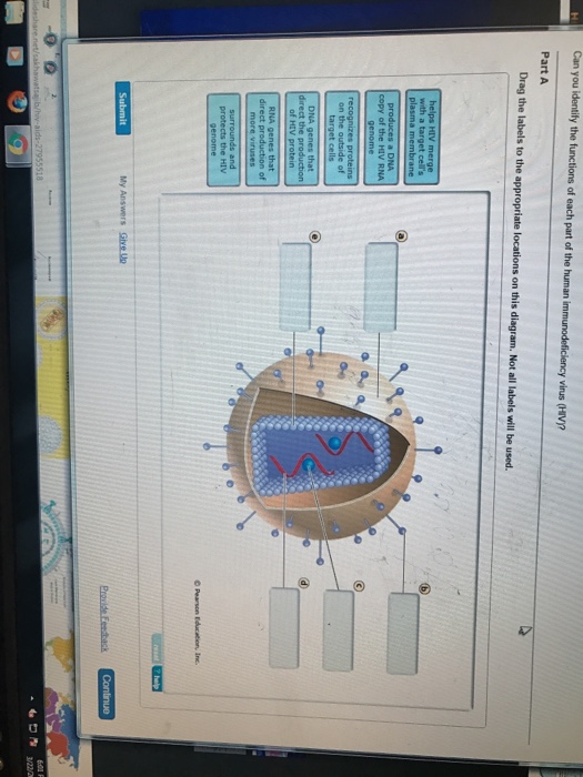 Solved: Can You Identity The Functions Of Each Part Of The... | Chegg.com
