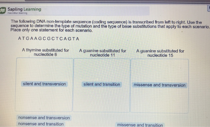 Solved: Sapling Learning The Following DNA Non-template Se... | Chegg.com