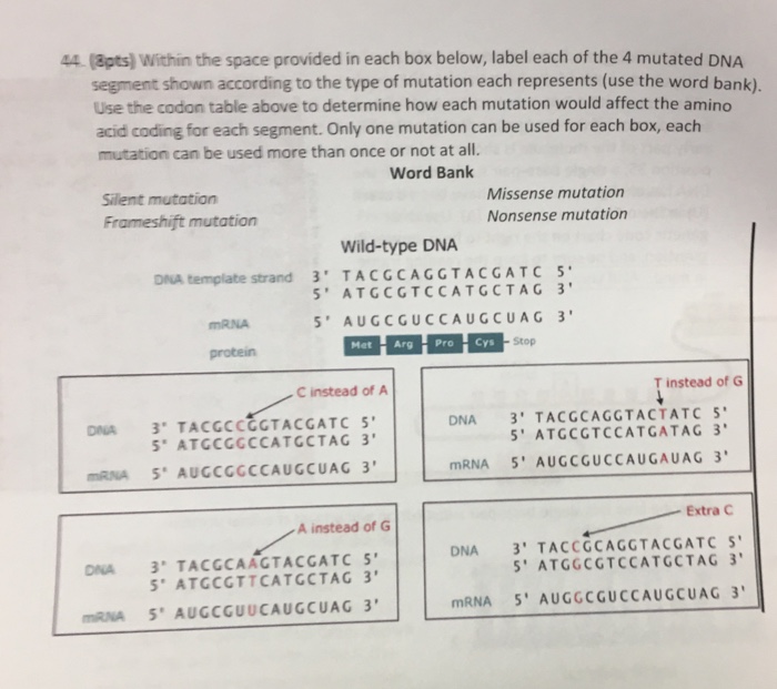 Biology Archive | February 10, 2017 | Chegg.com