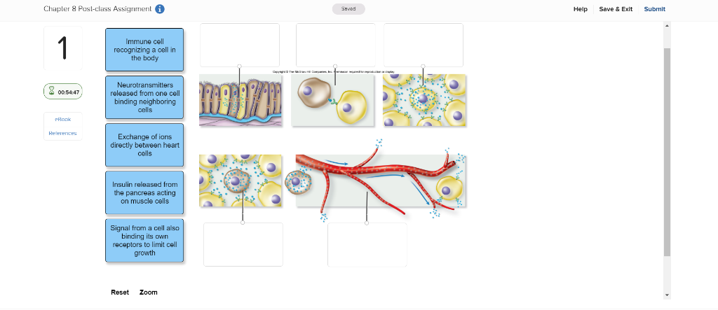 Solved: Match Each Example Of Cell Signaling With The Corr... | Chegg.com