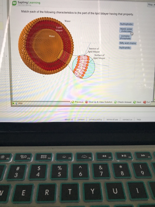 Solved: Sapling Learning Map Match Each Of The Following C... | Chegg.com