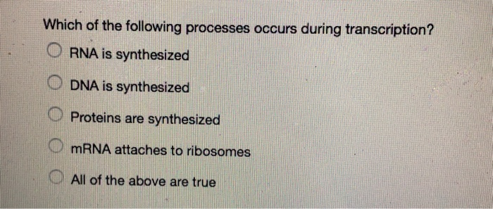 Solved Which of the following processes occurs during | Chegg.com