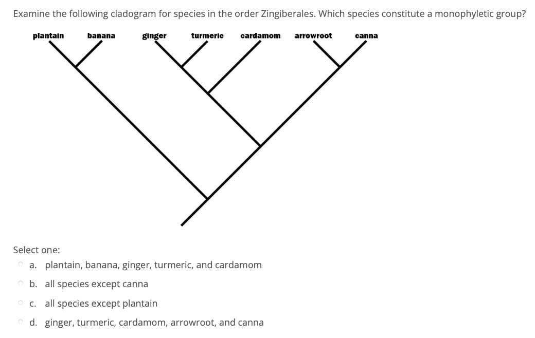 Solved Examine the following cladogram for species in the | Chegg.com