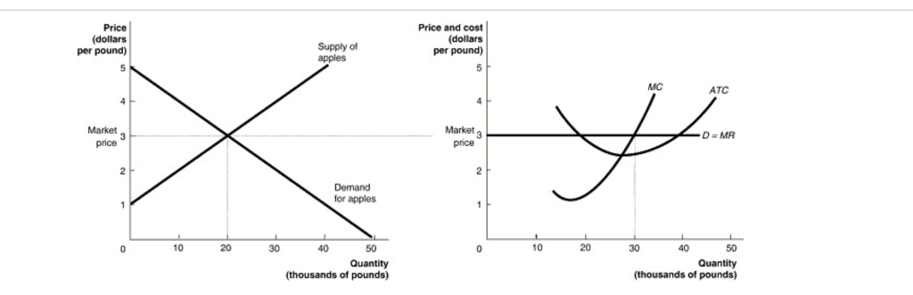Solved The graphs above are for the apple market. These are | Chegg.com