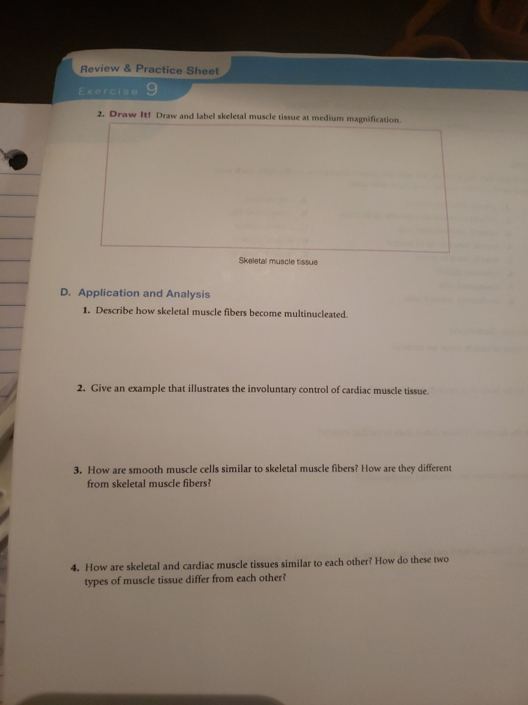 Solved Review & Practice Sheet Exercise 9 2. Draw It! Draw | Chegg.com