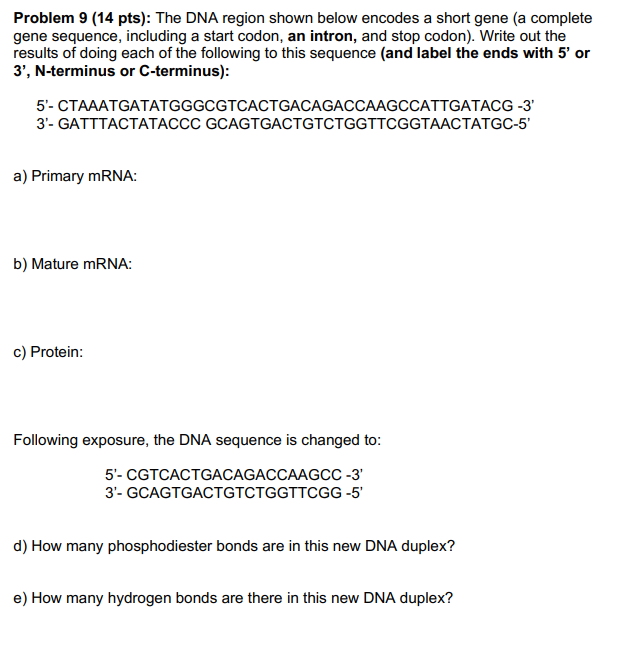 Solved The DNA region shown below encodes a short gene (a | Chegg.com