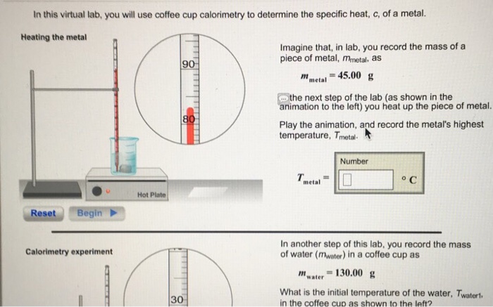 Solved In this virtual lab, you will use coffee cup | Chegg.com
