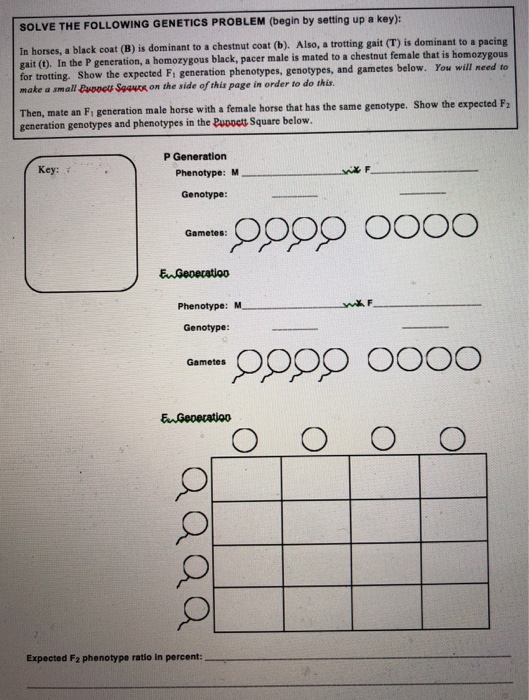 Solved SOLVE THE FOLLOWING GENETICS PROBLEM (begin by | Chegg.com