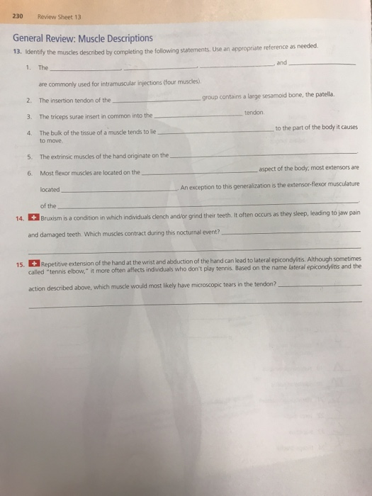 Solved Instructors may assign a portion of the Review Sheet | Chegg.com Solved Instructors may assign a portion of the Review Sheet | Chegg.com