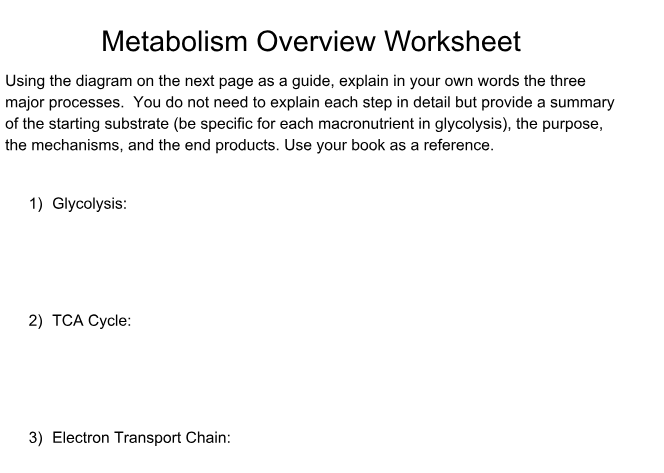 Solved Metabolism Overview Worksheet Using the diagram on | Chegg.com