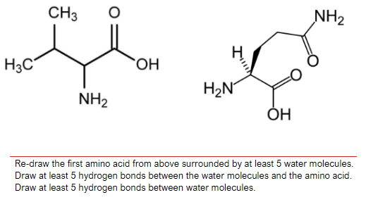 Solved CH3 NH2 H H3C ОН H2N NH2 OH Re-draw the first amino | Chegg.com