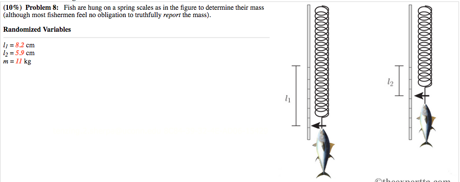 Solved (10%) Problem 8: Fish are hung on a spring scales as | Chegg.com