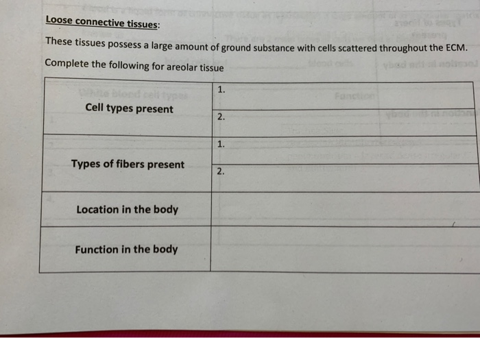 Solved Loose connective tissues: These tissues possess a | Chegg.com