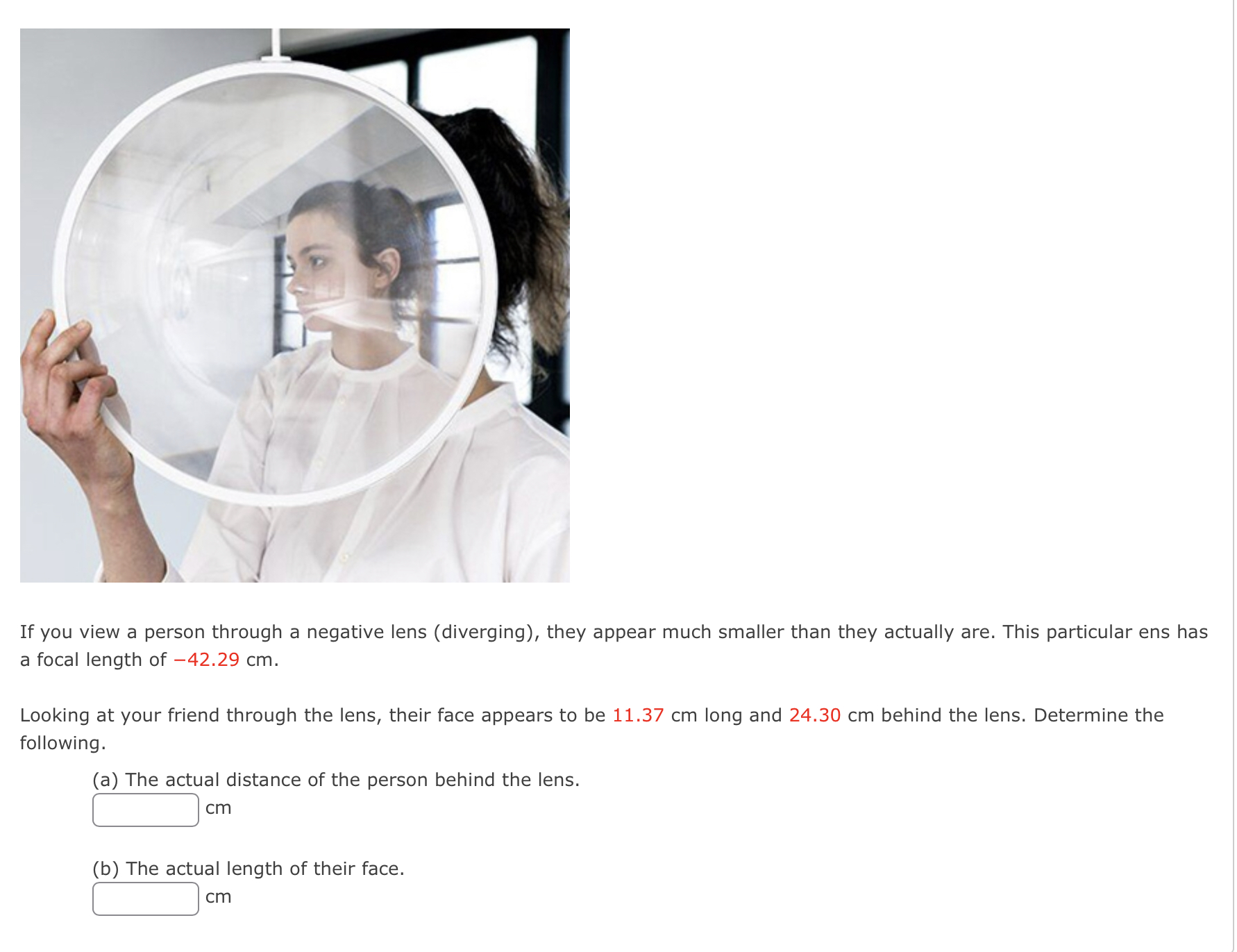 Solved If you view a person through a negative lens | Chegg.com