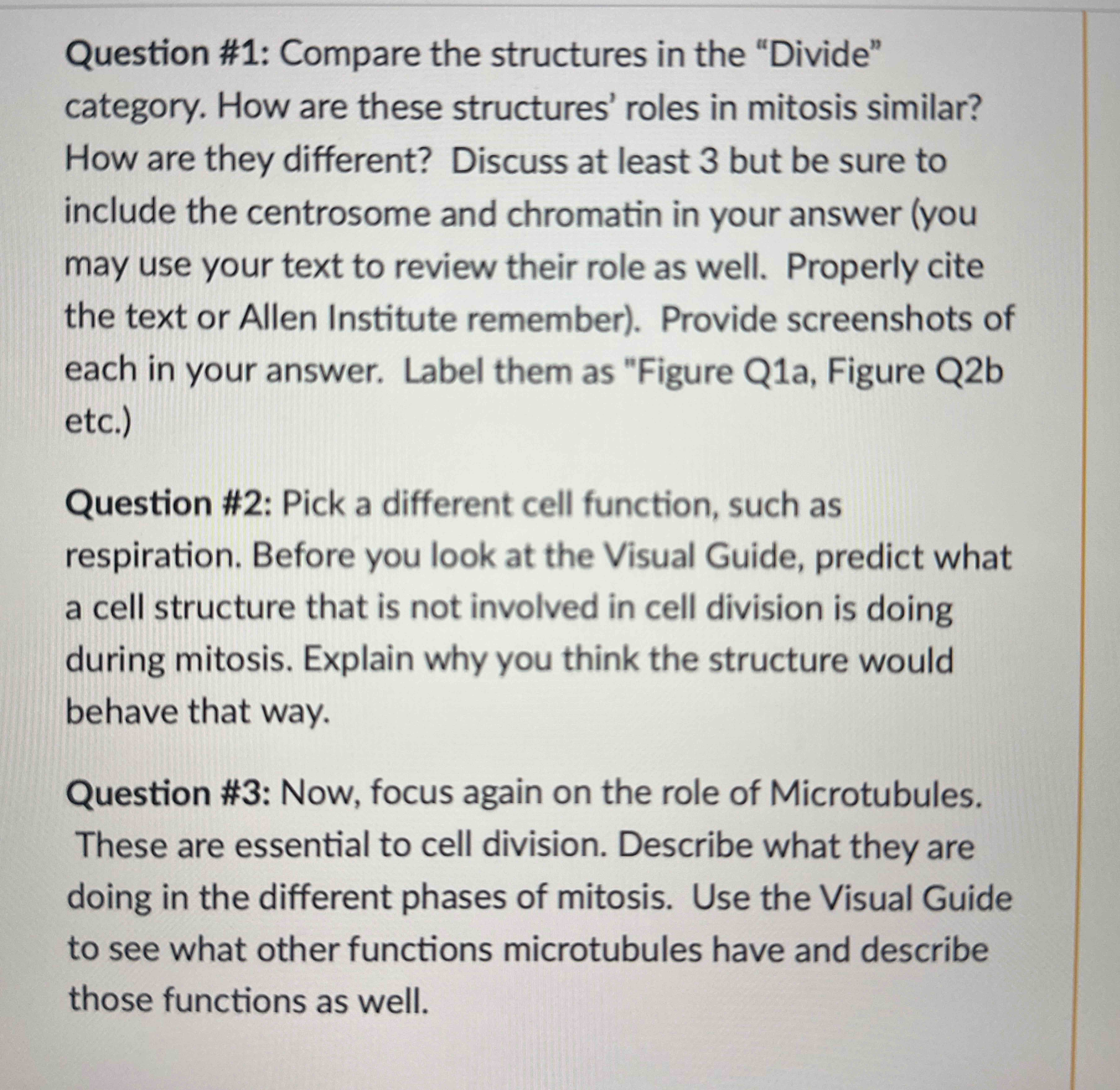Solved Question \#1: Compare the structures in the "Divide" | Chegg.com
