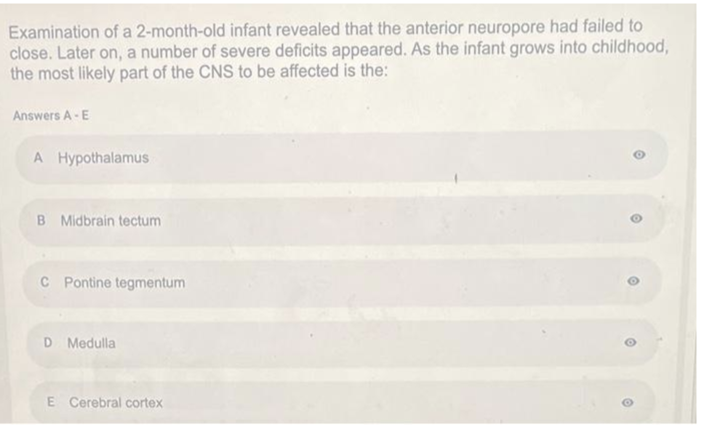 Solved Examination of a 2-month-old infant revealed that the | Chegg.com