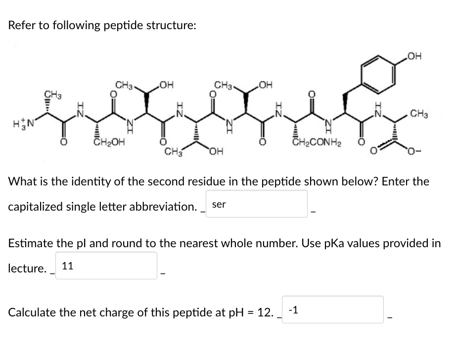 Solved Refer to following peptide structure: What is the | Chegg.com