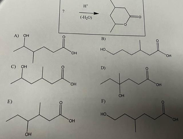 Solved 1) HOCH2CH2OH, H+ 2) Mg, ether 3) 4) H307, heat ? "Br | Chegg.com