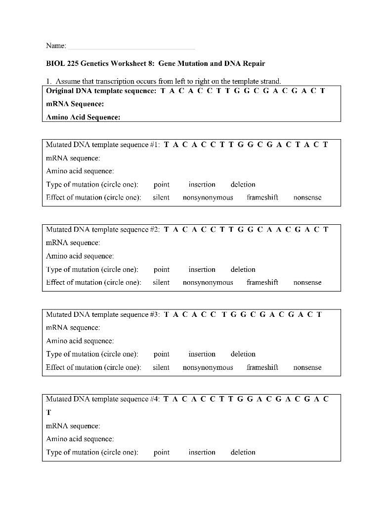 Solved Name: BIOL 225 Genetics Worksheet 8: Gene Mutation | Chegg.com