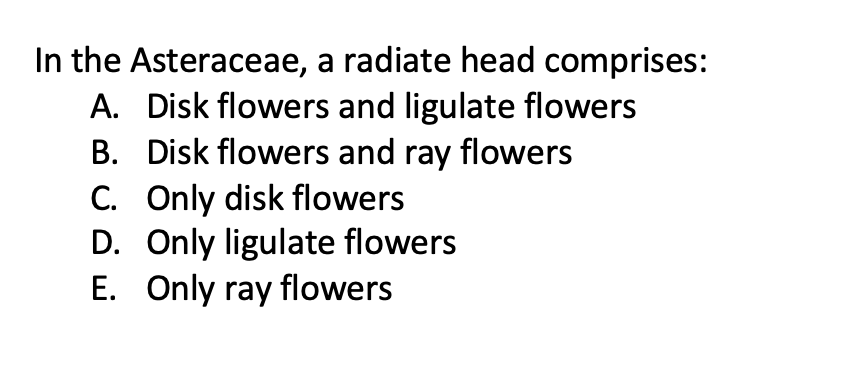 Solved In the Asteraceae, a radiate head comprises: A. Disk | Chegg.com