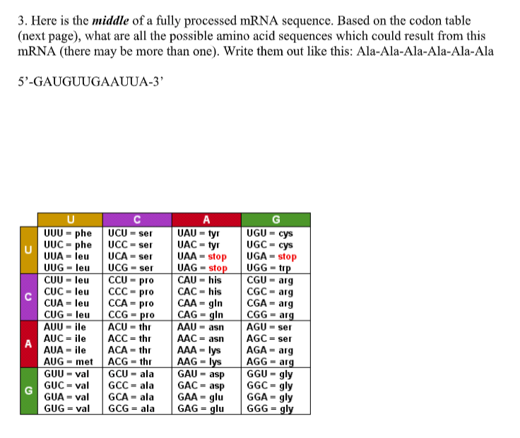 Solved 3. Here is the middle of a fully processed mRNA | Chegg.com