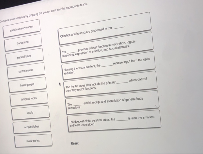 Solved Compie each sentence by dragging the proper term into | Chegg.com
