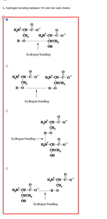 Solved b. hydrogen bonding between Thr and Ser side chains | Chegg.com