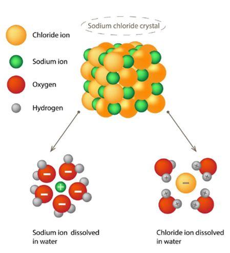 Solved - Solid NaCl - NaCl solution - Ethanol | Chegg.com