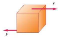 Solved A cube of brass has a shear force of F = 1375 N | Chegg.com