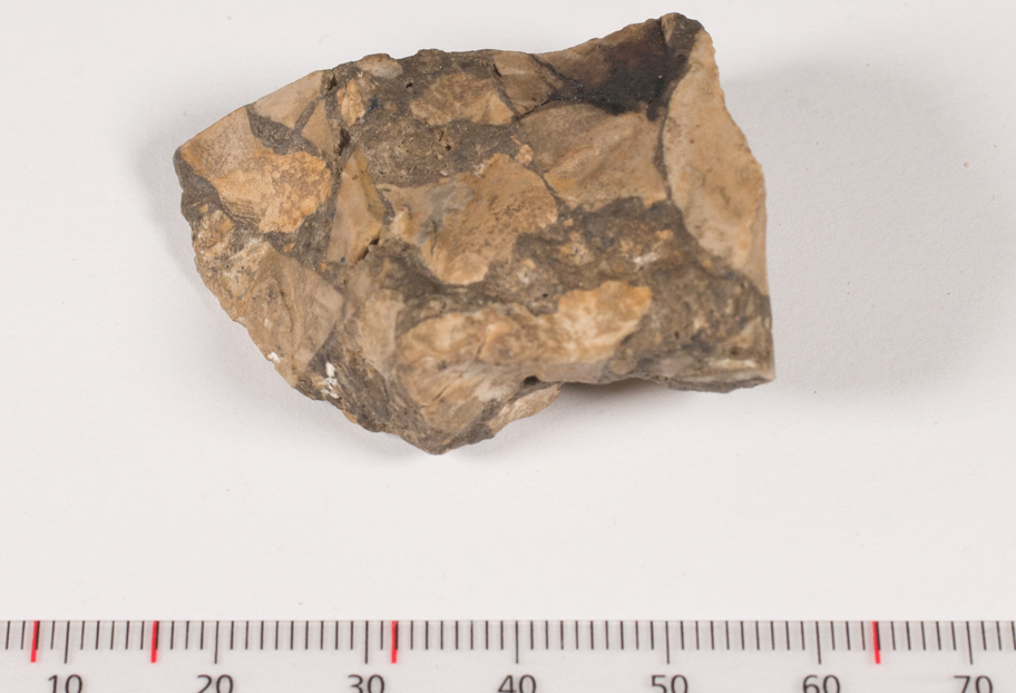 Solved SEDIMENTARY ROCKS STUDY SHEET Name Components Texture | Chegg.com