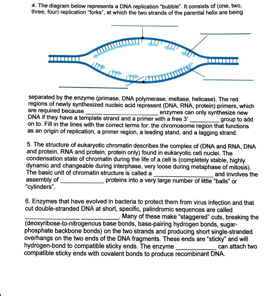 Solved 4. The diagram below represents a DNA replication | Chegg.com
