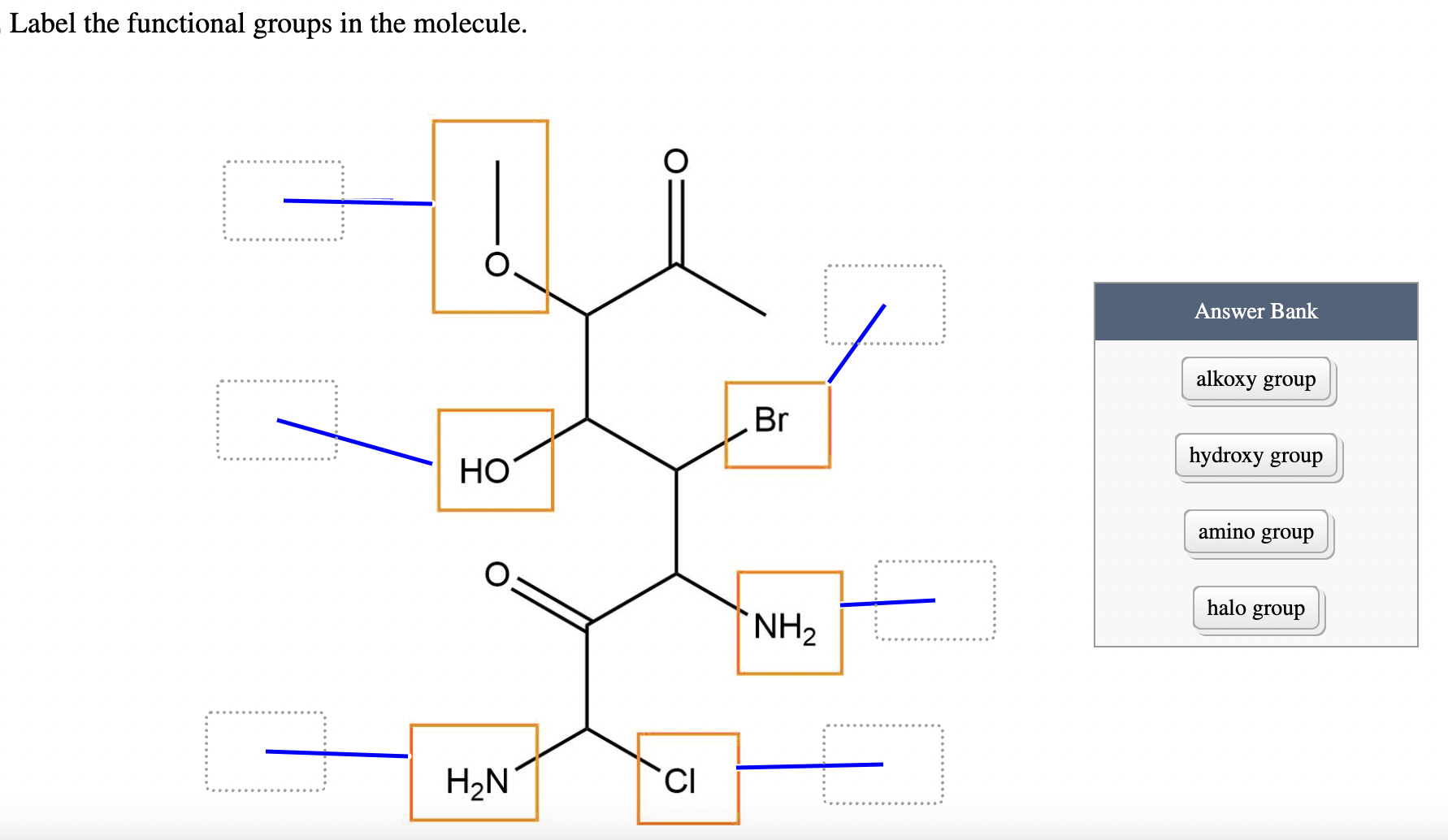 Solved Label the functional groups in the molecule. | Chegg.com