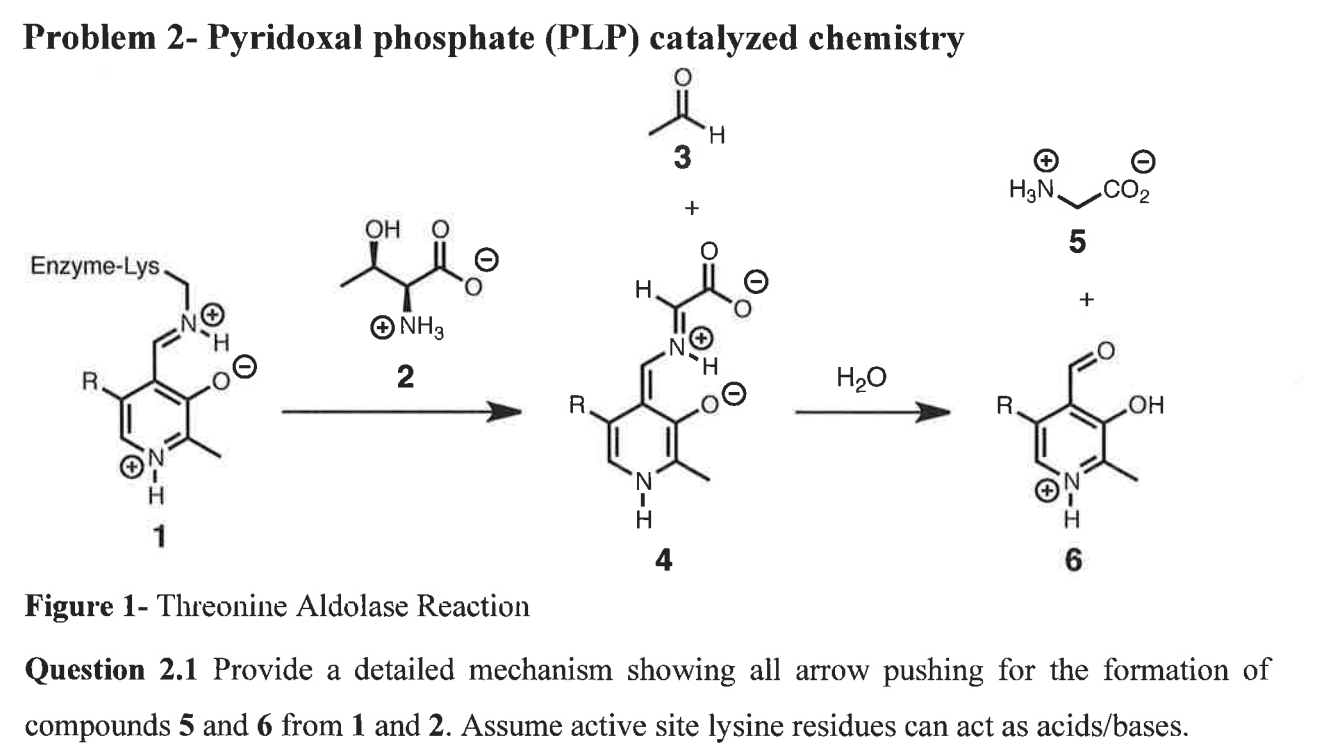 Question 2.2 Explain how the enzyme determines | Chegg.com