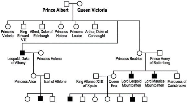 Solved The following diagram shows the result of inbreeding | Chegg.com