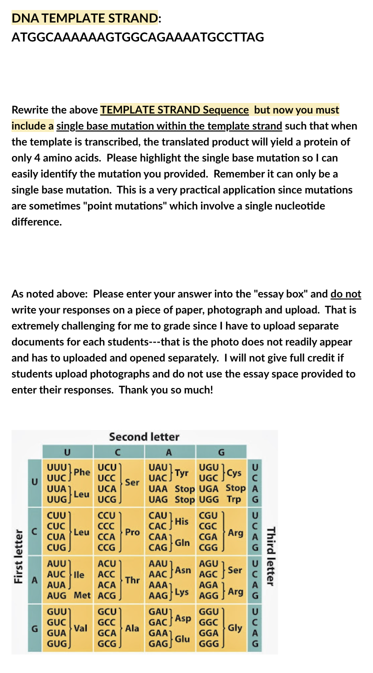 DNA TEMPLATE STRAND: ATGGCAAAAAAGTGGCAGAAAATGCCTTAG | Chegg.com