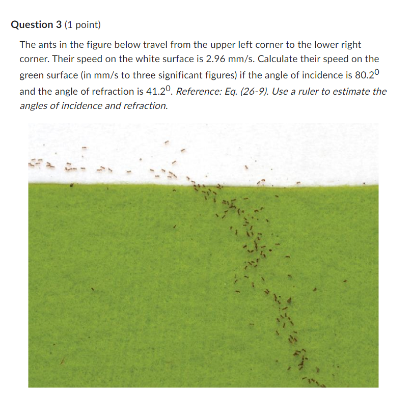 Solved Ruestion 3 (1 point) The ants in the figure below | Chegg.com
