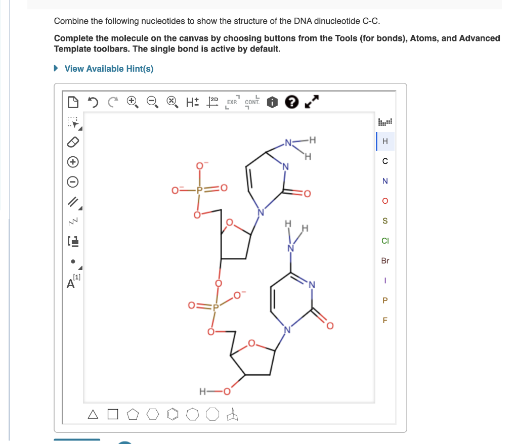 Solved Combine the following nucleotides to show the | Chegg.com