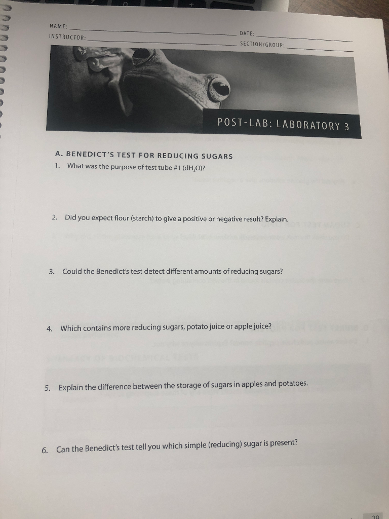 Solved INSTRUCTOR:. SECTION/GROUP: DATA: LABORATORY 3 A. | Chegg.com