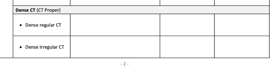 Solved Dense CT (CT Proper) Dense regular CT Dense irregular | Chegg.com