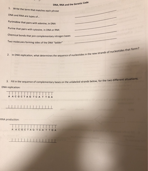 Solved DNA, RNA and the Genetic Code 1. Write the term that | Chegg.com
