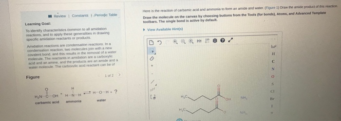 Solved Here is the reaction of carbamic acid and ammonia to | Chegg.com