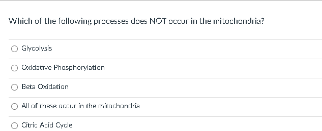 Solved Which of the following processes does NOT occur in | Chegg.com