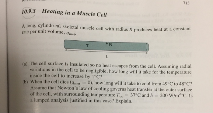 Solved 713 10.9.3 Heating in a Muscle Cell A long. | Chegg.com